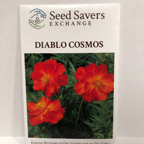 Diablos Cosmos Flower, 400 year old Heirloom – Firefly Farm and Mercantile
